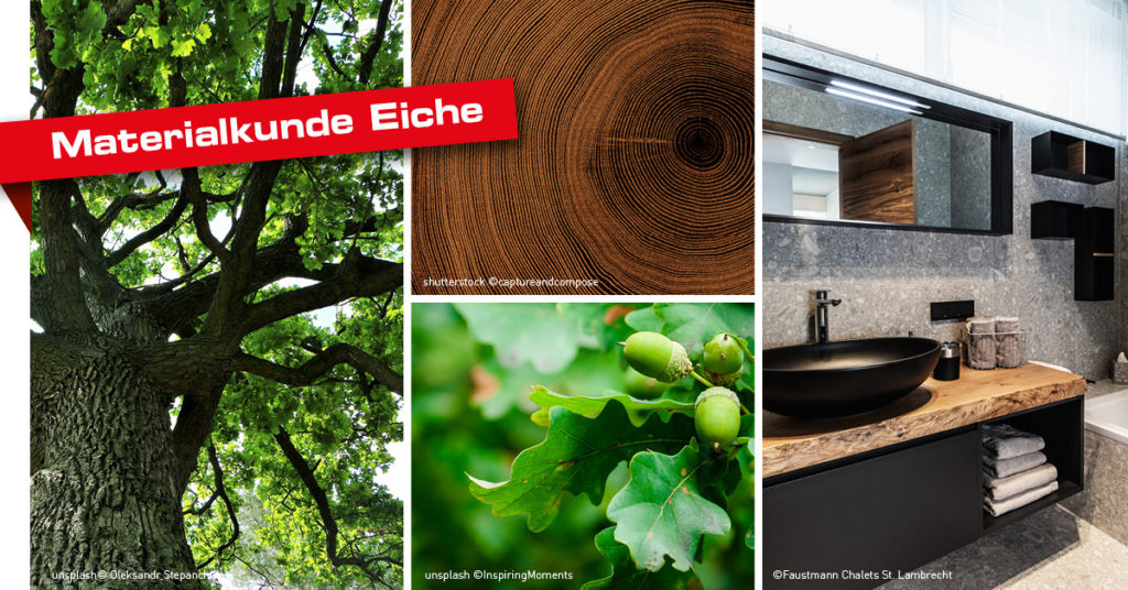 Materialkunde Eiche: Die Eigenschaften von Eichenholz | FAUSTMANN