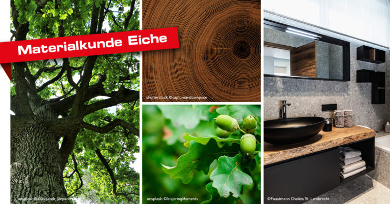 Materialkunde Eiche: Die Eigenschaften von Eichenholz | FAUSTMANN
